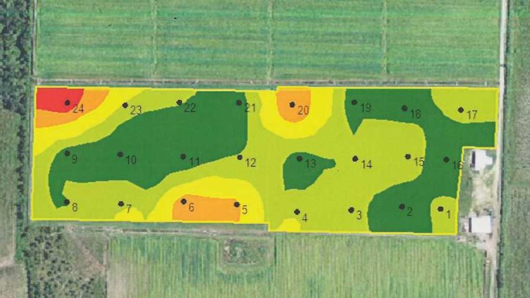 Grid Sampling – ProAg Services, LLC